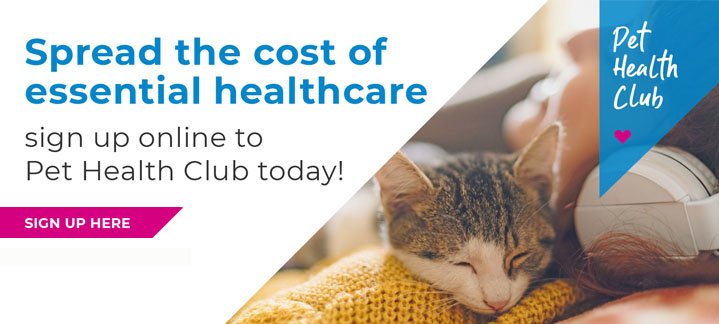 Cherrydown Vets in Basildon, Stanford Le Hope, Wickford in Essex