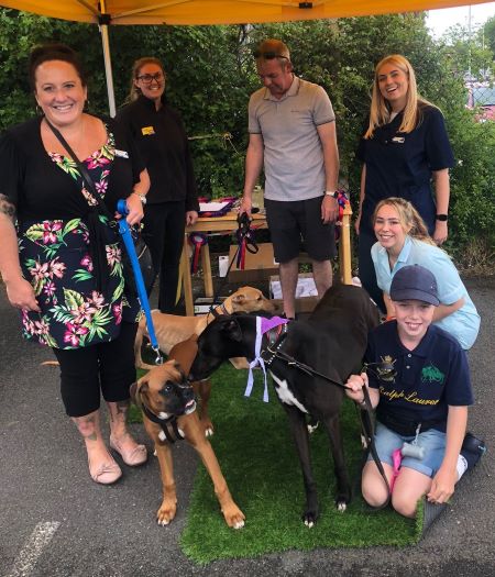 Open Day for pets and vets in Basildon | Cherrydown Vets Open Day for pets and vets in Basildon | Cherrydown Vets